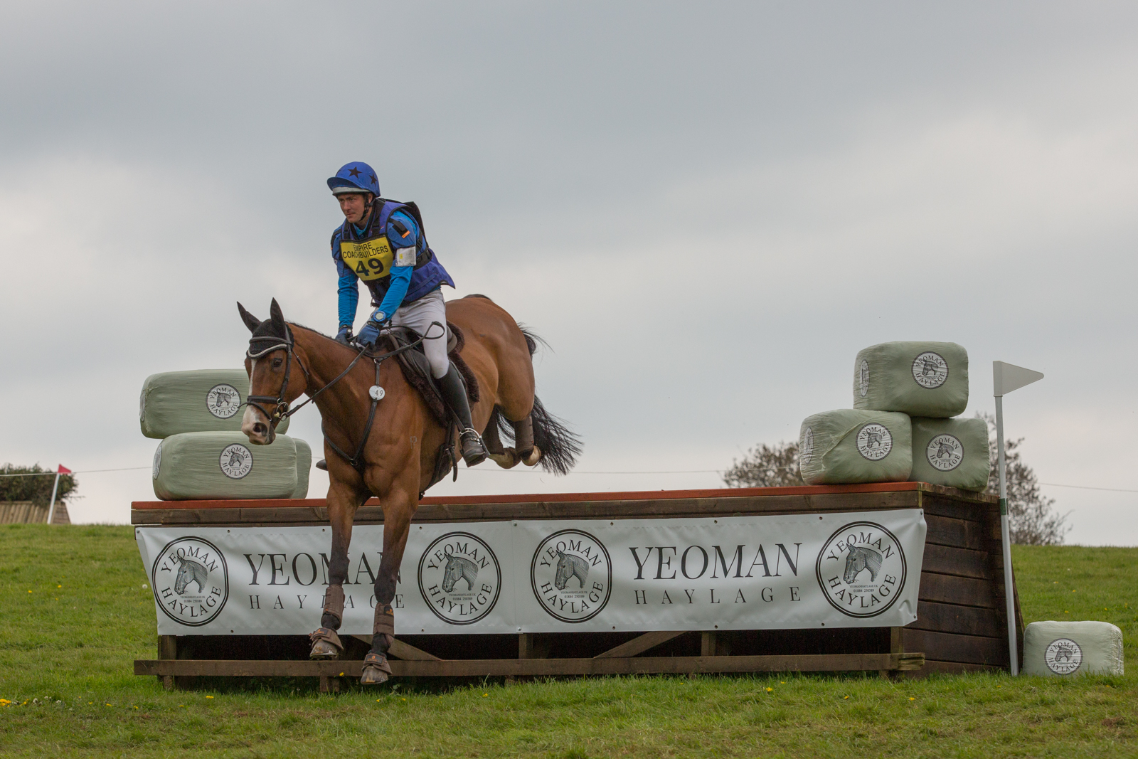 Bicton arena Tim Cheffings (Tiverton) Easy Tiger IV - GH Equestrian
